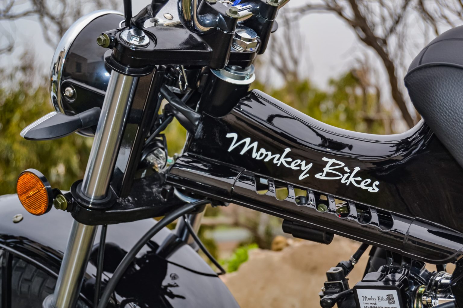Inicio - Monkey Bikes