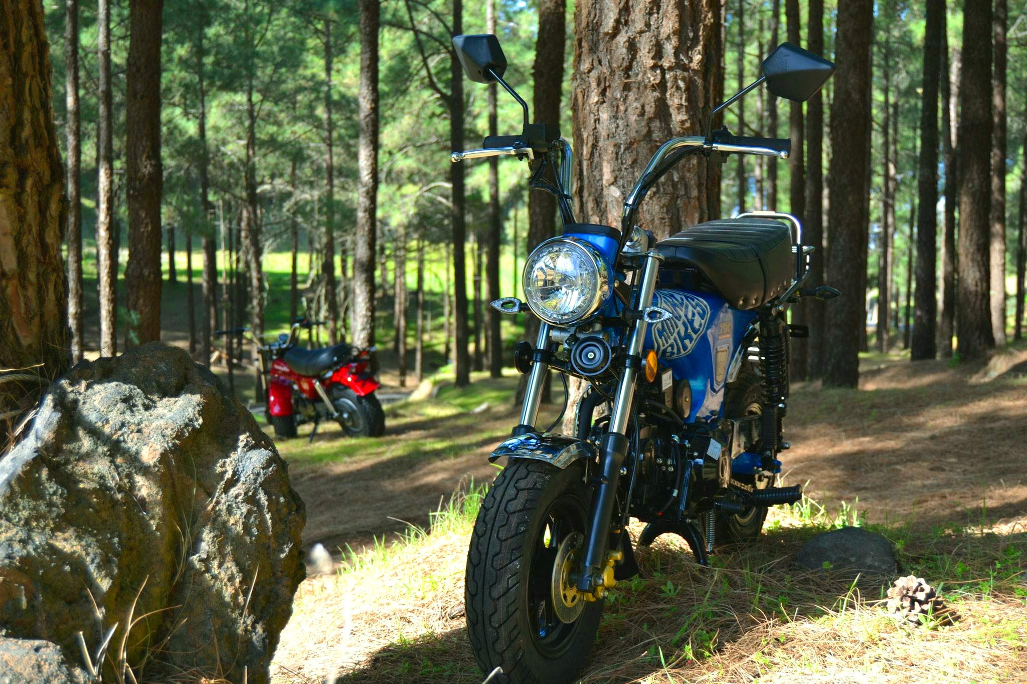 Sobre nosotros - Monkey Bikes