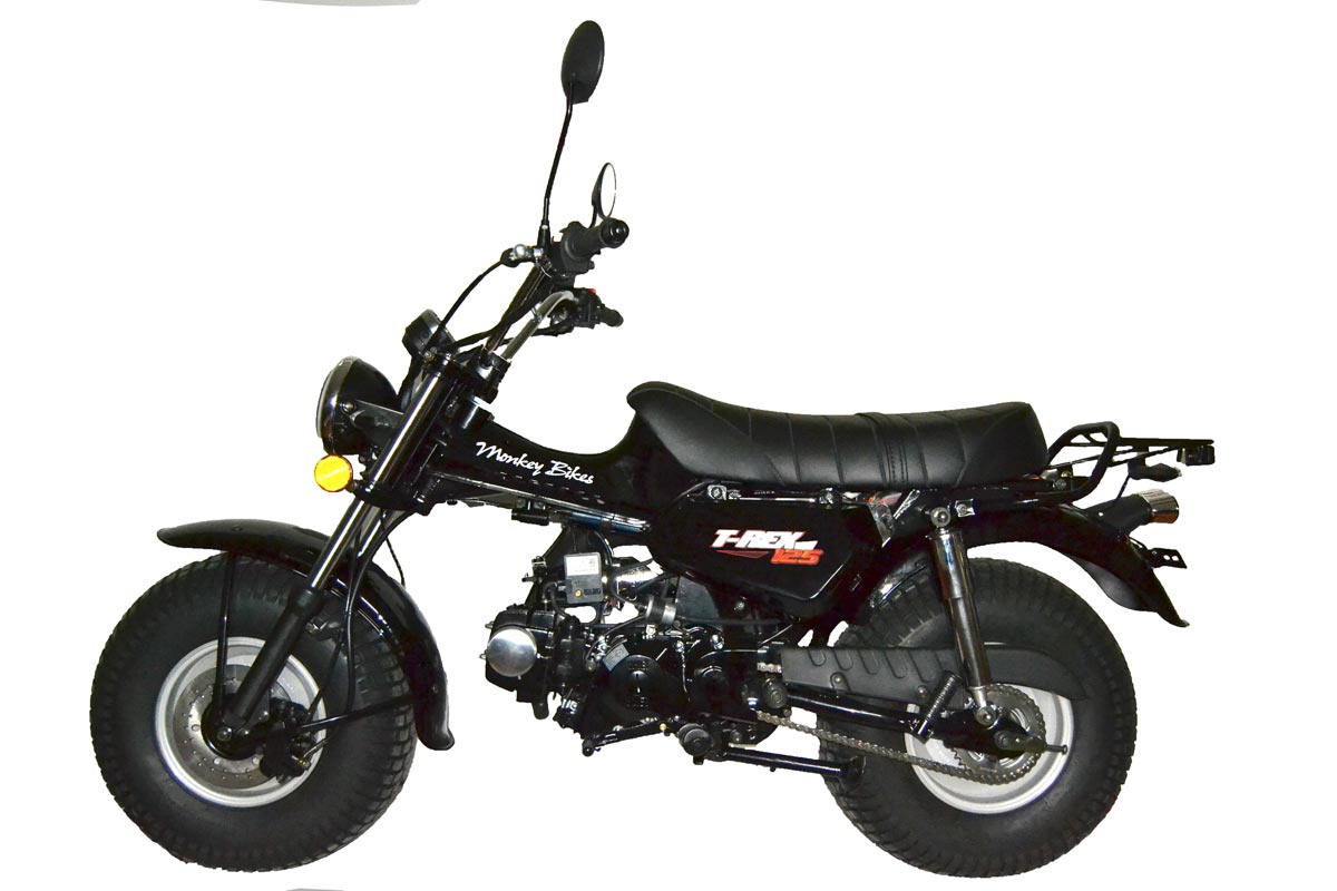 Monkey Bike T-Rex - Monkey Bikes